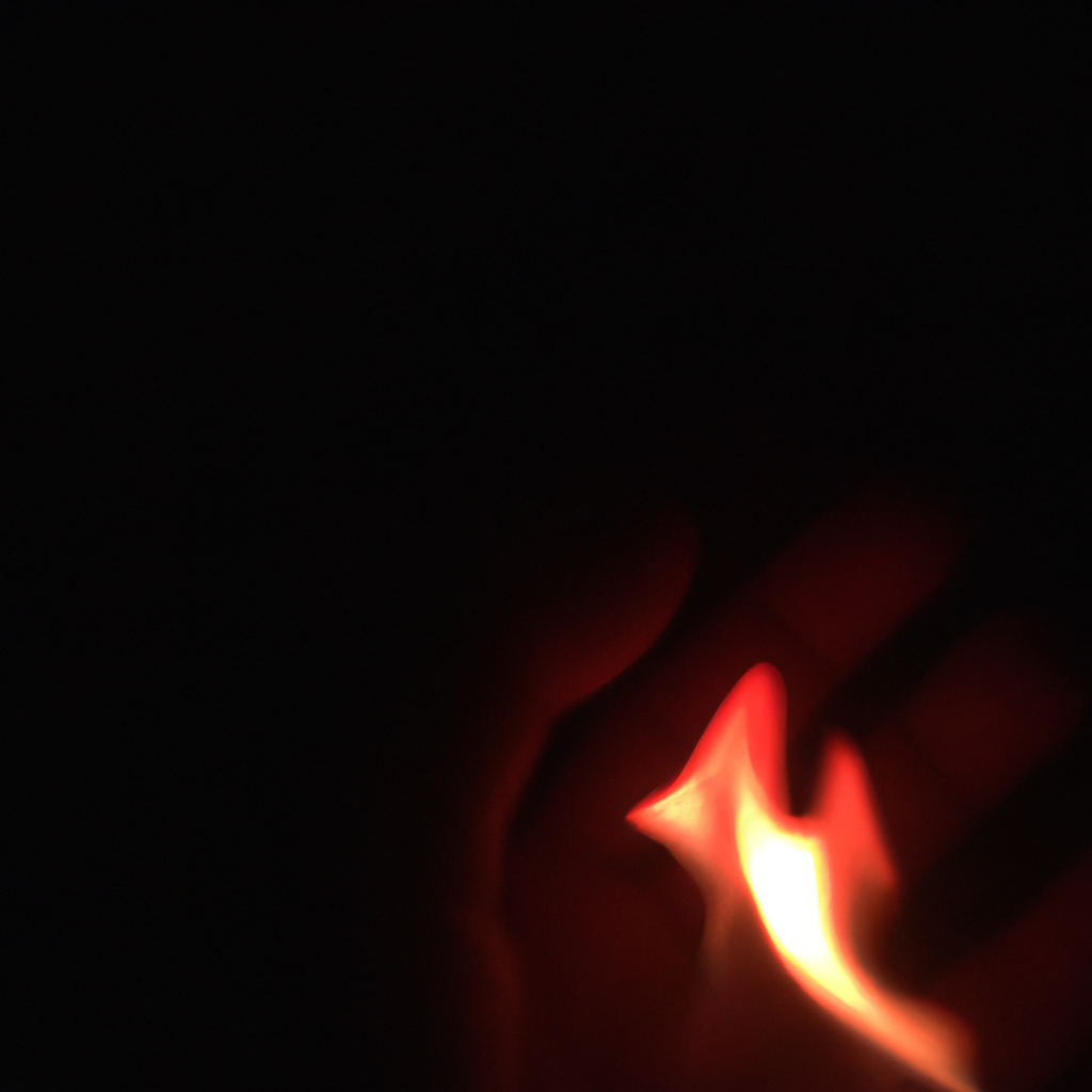 Hvad Er De Fire Ting, Som Bevidstheden Aldrig Glemmer? - Bevidstheden